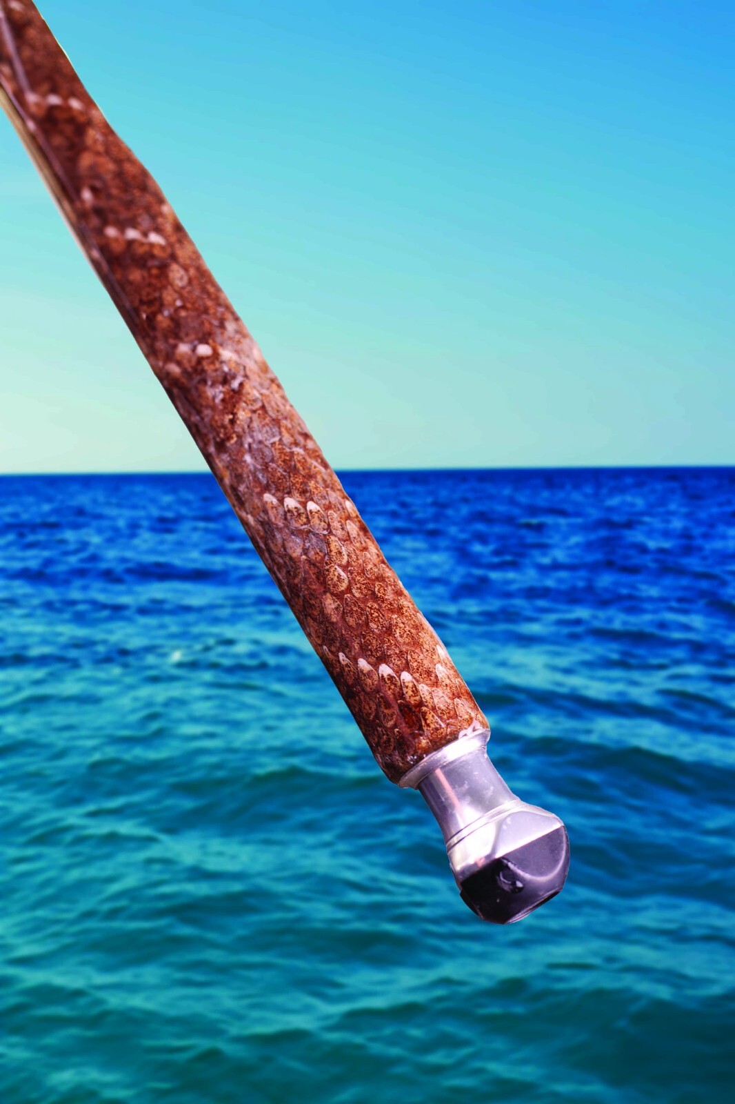 Custom Rattlesnake Fishing Rod Real Rattlesnake Skin Grips with or ...