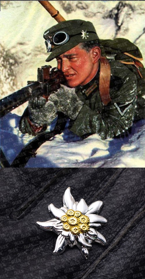 WWI WW2 German Mountain Edelweiss Hat Badge leaf badge oak leaf Badge ...