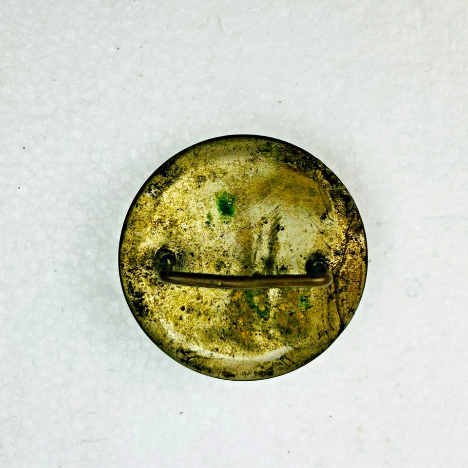 Vintage Glass Domed Horse Head Brass Bridal Rosette/Button | eBay