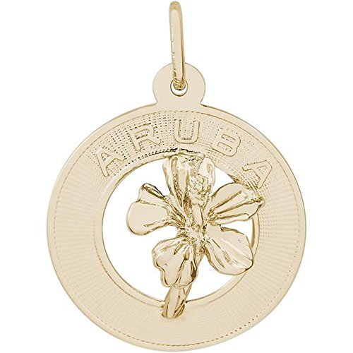 10kt Yellow Gold Rembrandt Charms Aruba Hibiscus Charm OR Pendant | eBay
