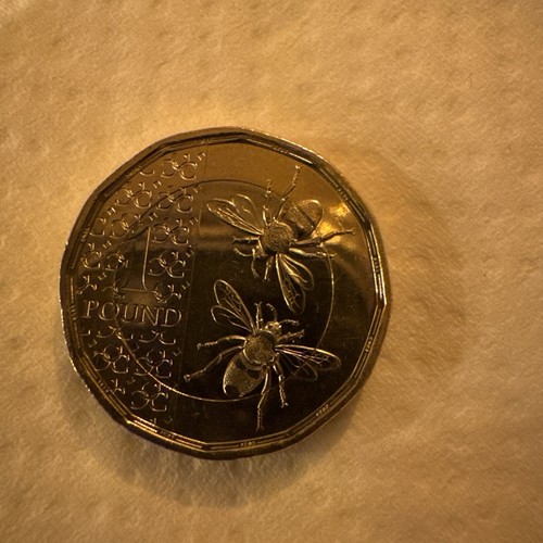 2023 King Charles £1 One Pound coin Bees - Uncirculated From Full ...