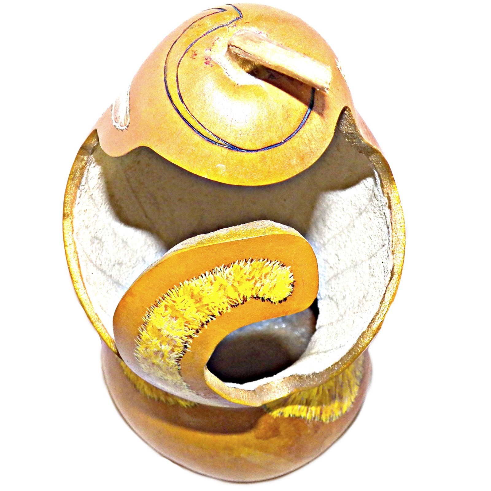 Buddy the Cat Folk Art Carved Gourd Hand Painted Artist Signed Margie ...