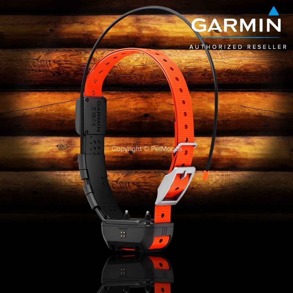 Garmin Alpha TT25 Dog Device GPS Tracking Training Collar, and ...