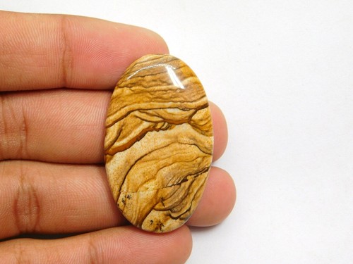 Top Grade Natural African Picture Jasper Cabochon Loose Gemstone 58 Cts ...