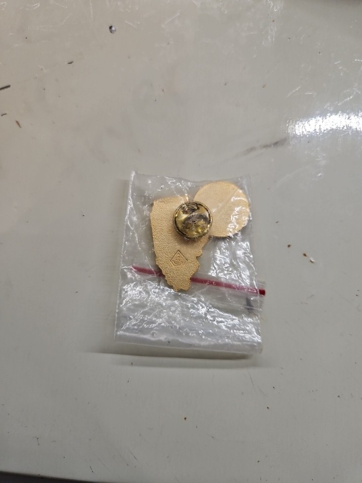 IBEW Brotherhood Electrical Workers Union Hat Pin Local 51 Springfield ...