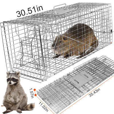 31"x11"x12" Folding Steel Humane Animal Trap Cage for Raccons Cats ...