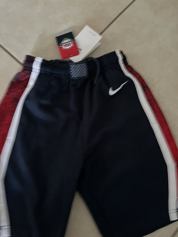 Nike Men S Team USA Basketball 2024 Olympics Swingman Shorts Dream Team ...