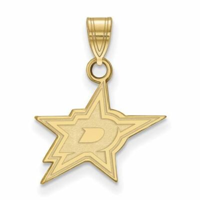 10k Gold NHL Dallas Stars Small Pendant | eBay