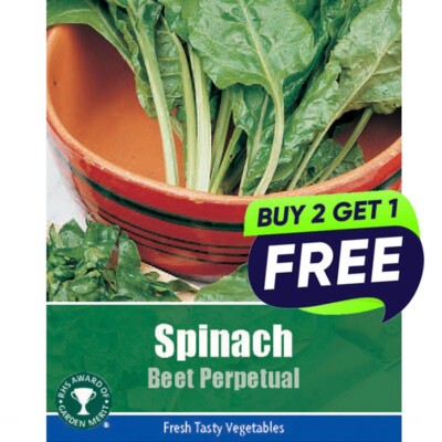spinach Beet Perpetual - 210 Seeds Vegetable Grow Your Own Garden Salad ...