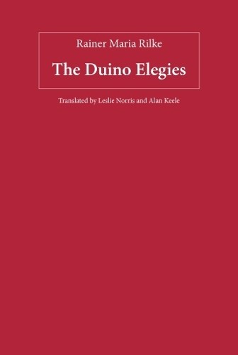 Rainer Maria Rilke The Duino Elegies (Poche) 9781571133915 | eBay