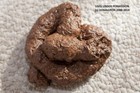 HIGH QUALITY Fake Dog Poop Poo Realistic Doggy Doo Doo Dirt Joke Gag ...