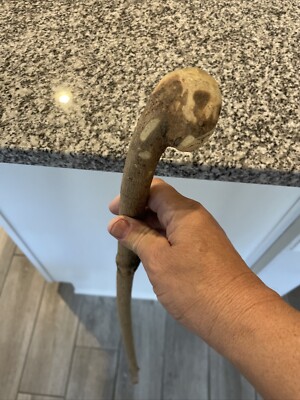 33" Lightweight Irish Shillelagh Celtic Walking Cane Solid | eBay