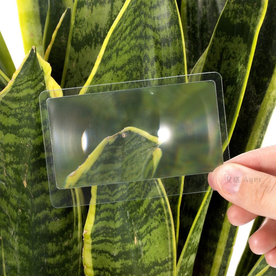 Five 5 Credit Card Size Wallet Pocket Magnifier Magnifying Reading ...