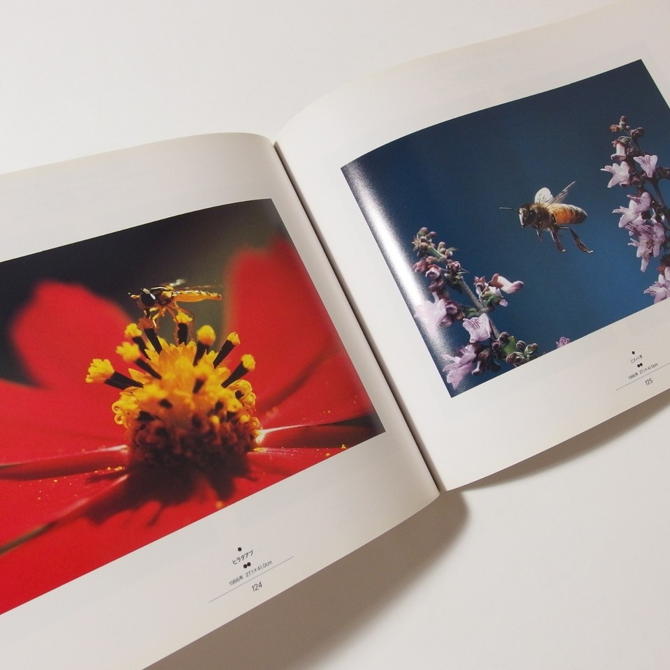 "Flowers, Nature and Greenery" Photo Album Jun Miki Shotaro Akiyama ...