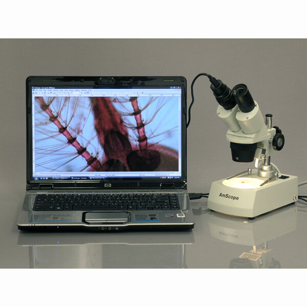 AmScope 20X-40X-80X Binocular Stereo Microscope Dual Illumination Multi ...