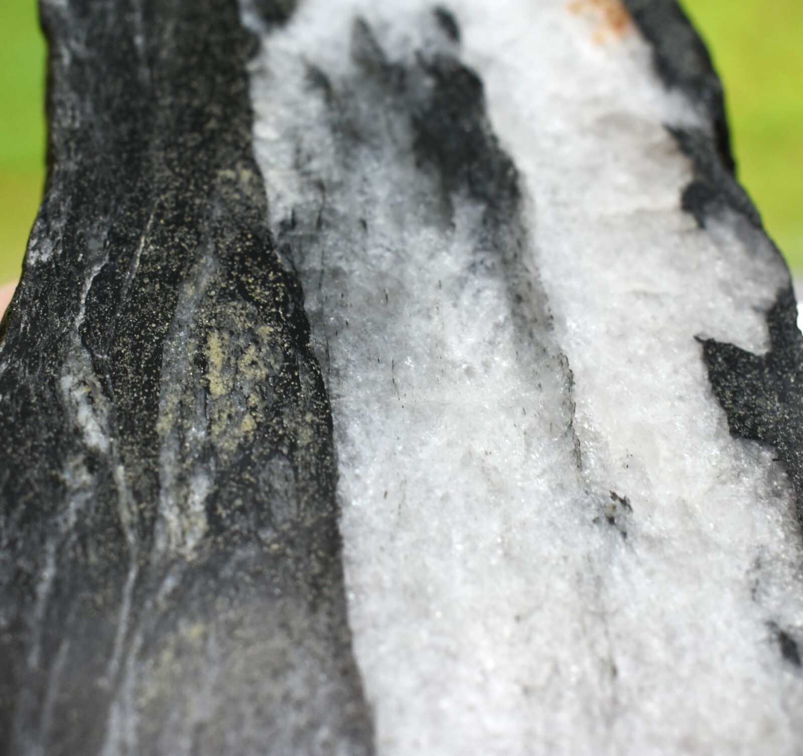 Mica-Schist Silver Black White Quartz Polished Slab Blue Ridge North ...