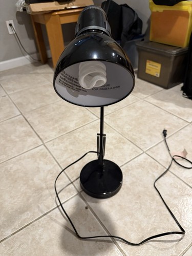 Intertek Desk Lamp | eBay