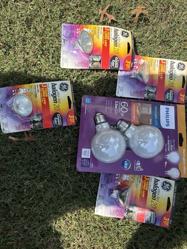 GE Edison Flood Track:Recessed Light Bulb Indoor Outdoor 2 Phillips LED ...