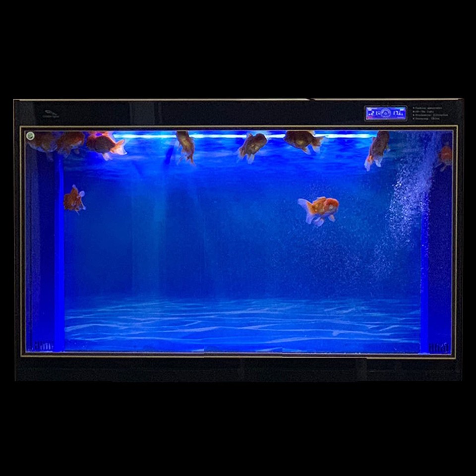 Aquarium Background Blue Black Fish Tank Background Picture 2 Sides ...