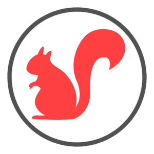 Squirrel Pantry | eBay Stores