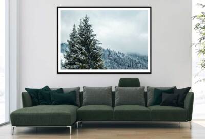 Snow on Pine Trees & Fogg View Print Premium Poster High Quality choose ...