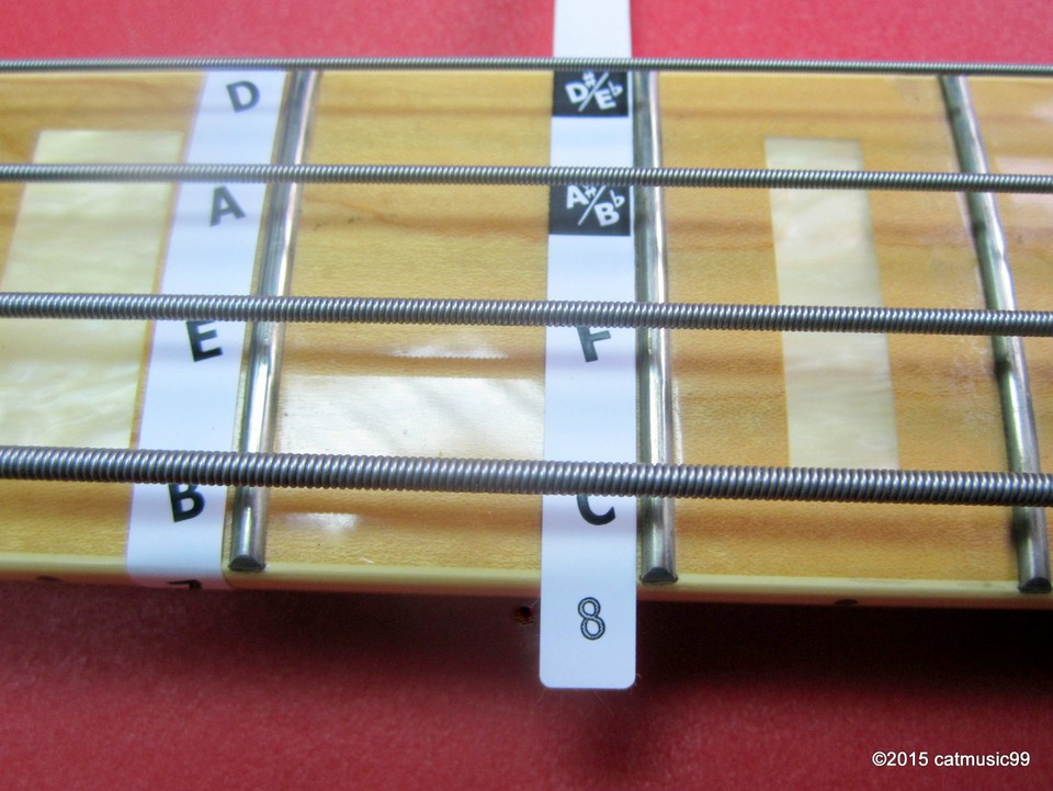 Bass Guitar Fretboard Note Labels Fret Stickers + Online Lessons ...