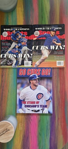 Chicago Cubs 2016 World Series Champions Book Set | eBay