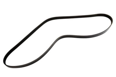 GM Genuine Parts 55578115 Serpentine Belt | eBay