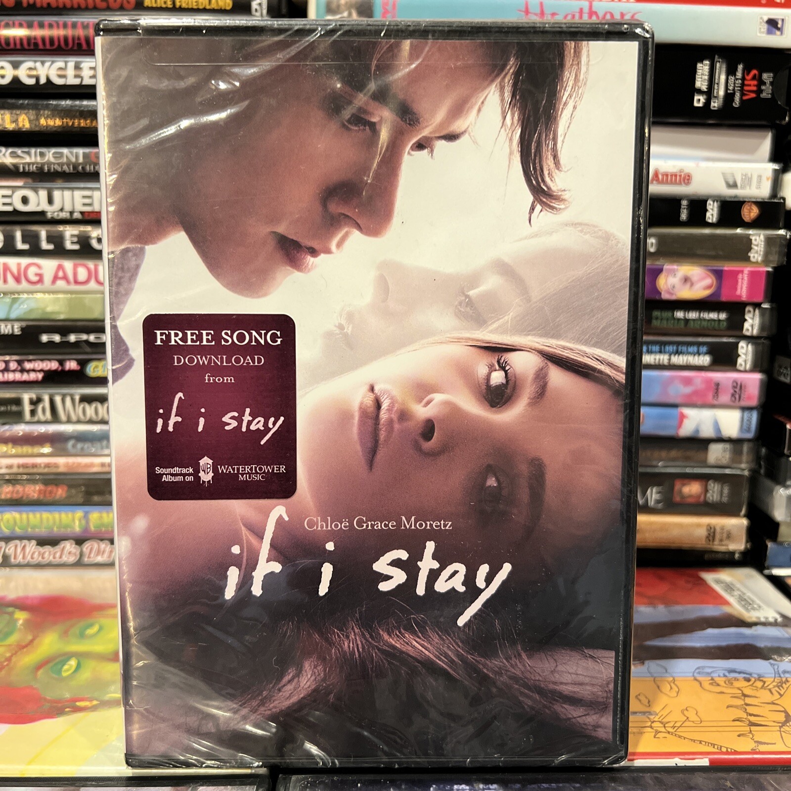 If I Stay DVD 2014 Brand New! Chloe Grace Moreetz Stacy Keach Romantic ...