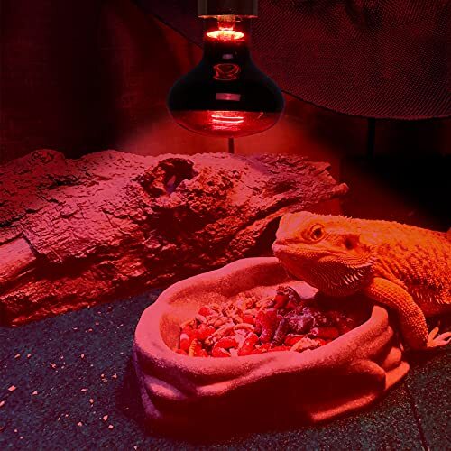 Infrared Heat lamp Basking Spot Light Bulb，75 Watt Red Heat Lamp Bulbs ...