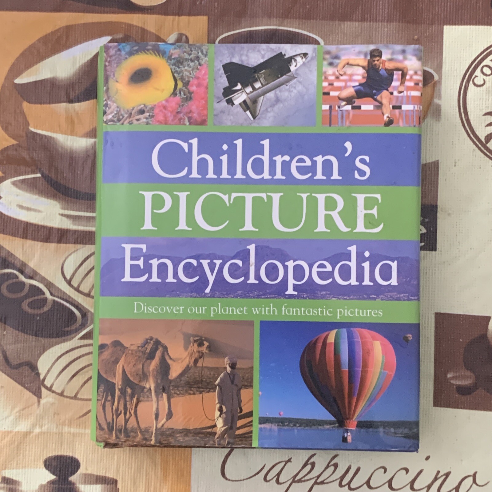 Mini Children's Reference Ser.: Children's Picture Encyclopedia (2008 ...
