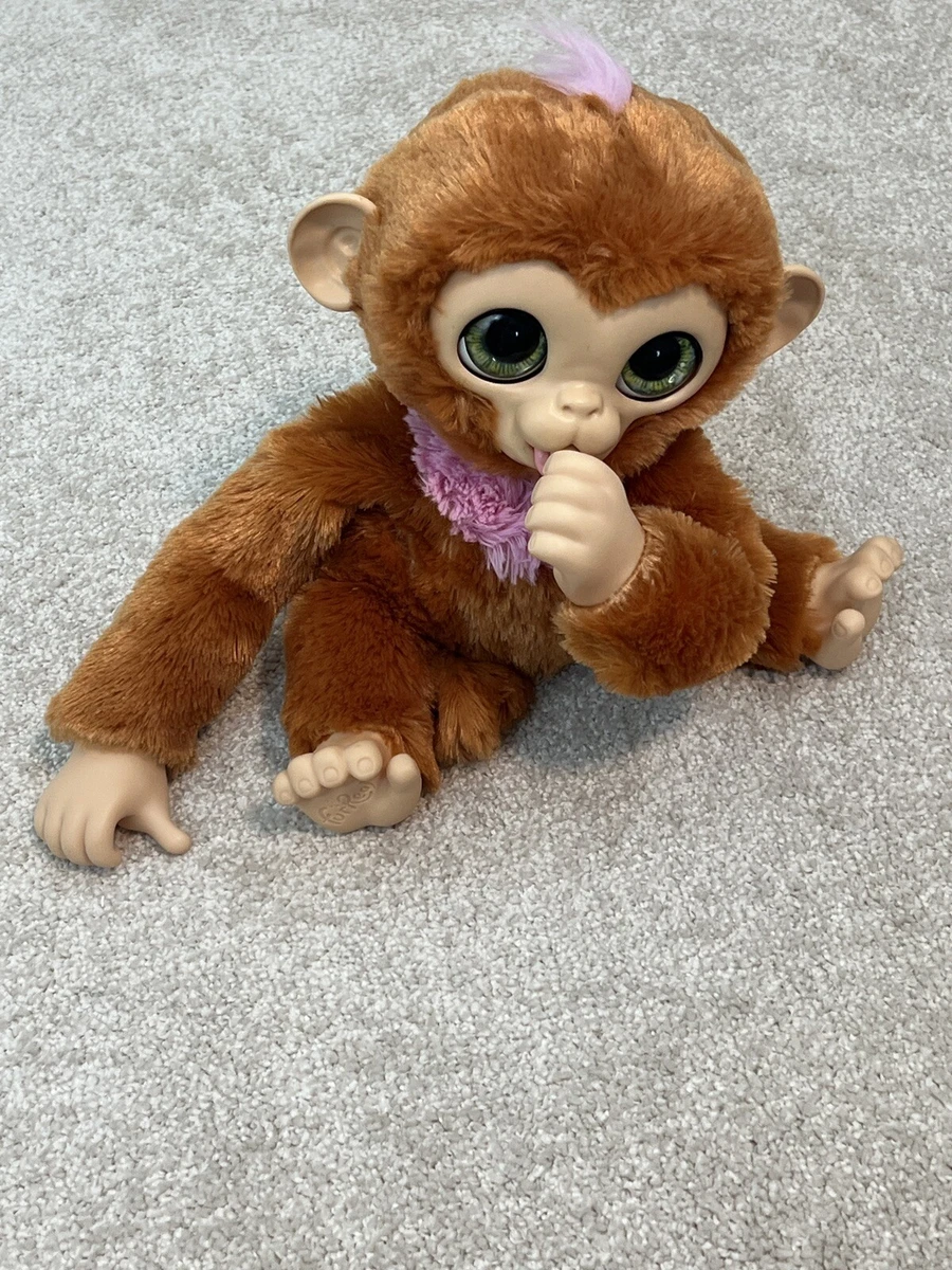 Real Pink Monkeys