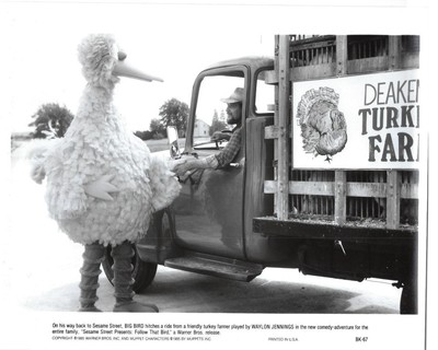 Alyson Court "Sesame Street Presents"Follow That Bird" Vintage Movie ...