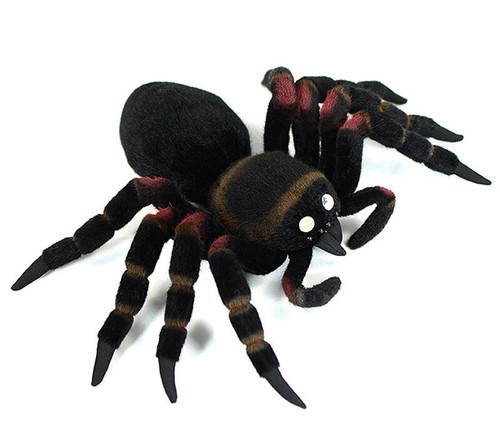 Goliath Birdeater Spider 8 Inch Stuffed Insect Animal Plush Toys Doll ...