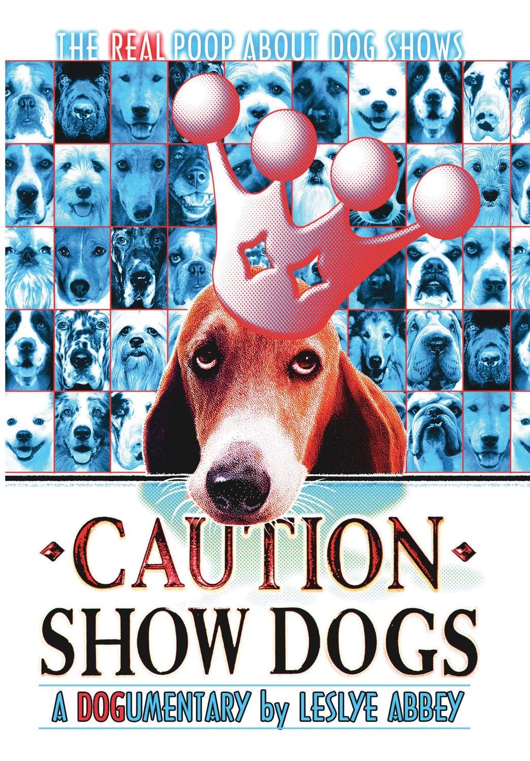Caution Show Dogs (DVD) Leslye Abbey David Patrick (US IMPORT) | eBay ...