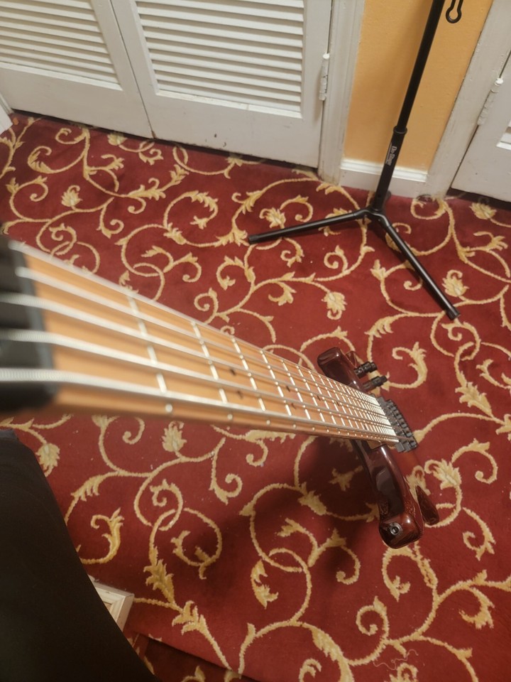 Custom* Built Roscoe 5-String Bass 2023 (Mint Condition) | eBay