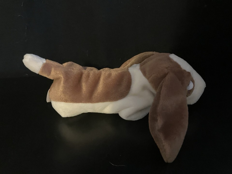 TY Beanie Baby Tracker the Basset Hound Dog Born June 5, 1997 MWMT | eBay
