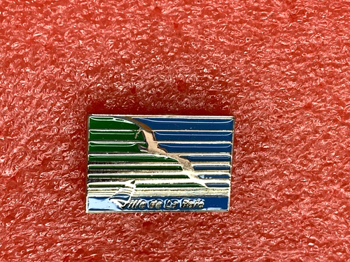 T31 Pins QUEBEC Ville de La Baie Saguenay CANADA Souvenir Lapel pin ...