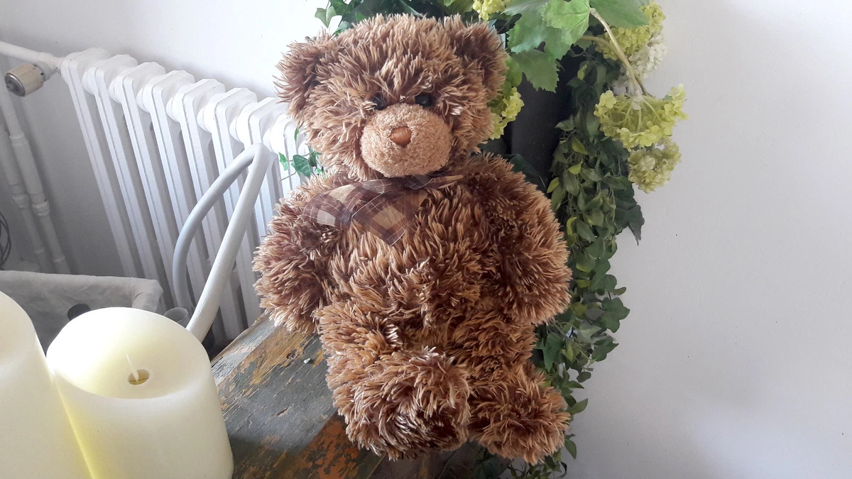 Joli Ours En Peluche