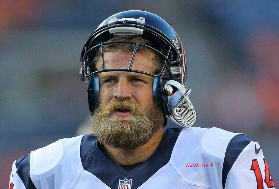 Ryan Fitzpatrick Bengalas