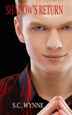 Shadow's Return: Volume 2 (Psychic Detective Mysteries), Wynne ...