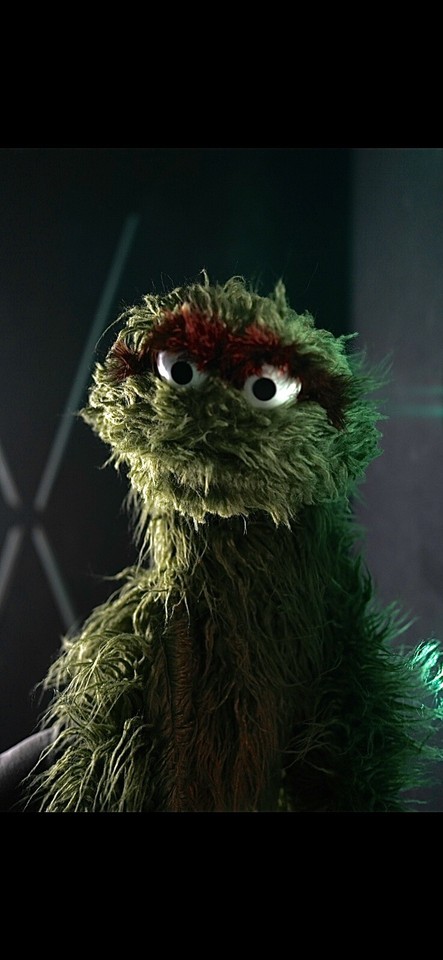 Oscar The Grouch Muppet Puppet | eBay