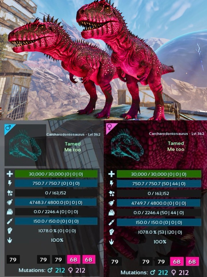ark survival ascended pve TOP Stats Carchar Pair, 1078% Melee(173), 100 ...
