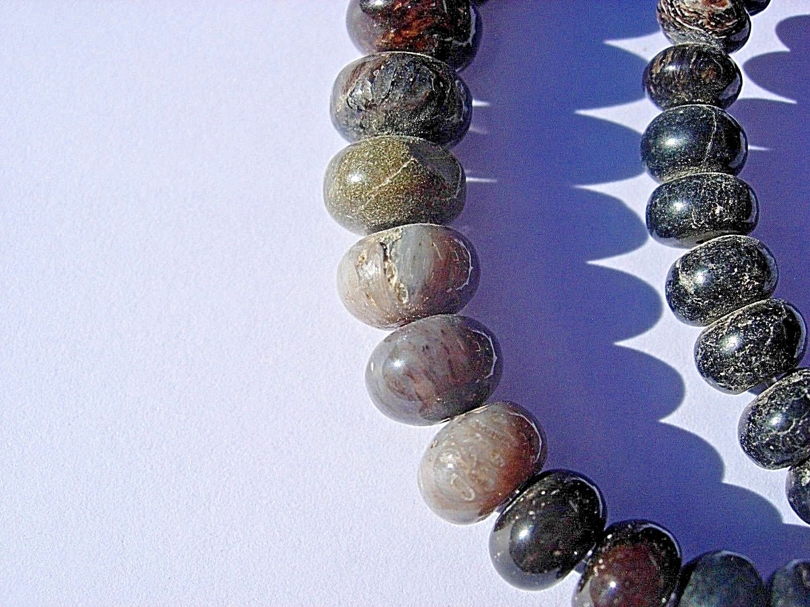 63 grams Tempskya Fern Tree Fossil & Blue Forest Petrified Wood beads ...