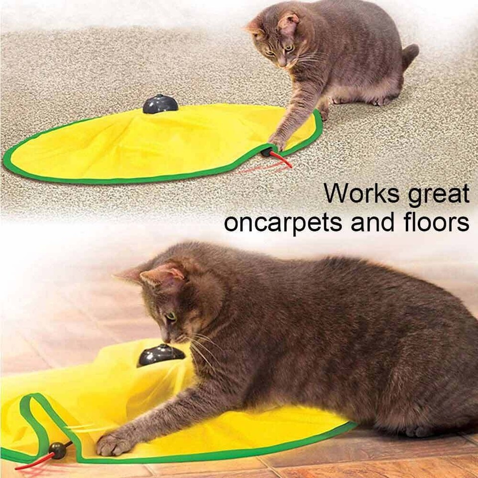 Electronic Interactive Cat Toys Puzzle Cats Meow Rotating Undercover ...