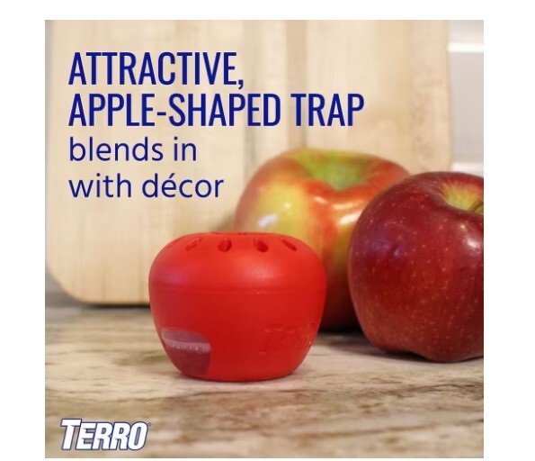 Indoor Fruit Fly Trap (4 Pack) | Terro Traps In – Built With Window ...