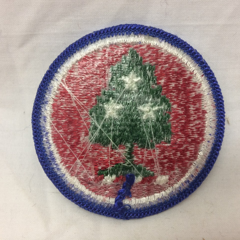 Vintage Military Patch Tennessee Army National Constabulary Force Blue ...