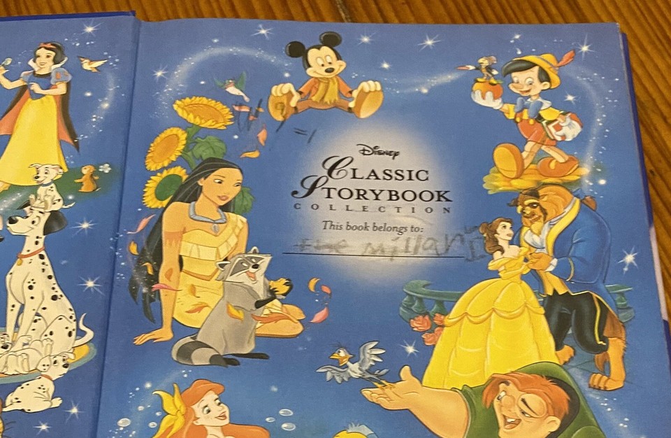 6 x Disney Hardcover Classic Storybook Collection Storybook Bulk Bundle ...