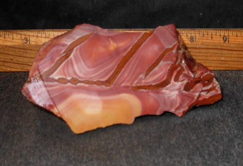 Nevada's Dead Camel Red Falcon Jasper, Area Now Closed | eBay