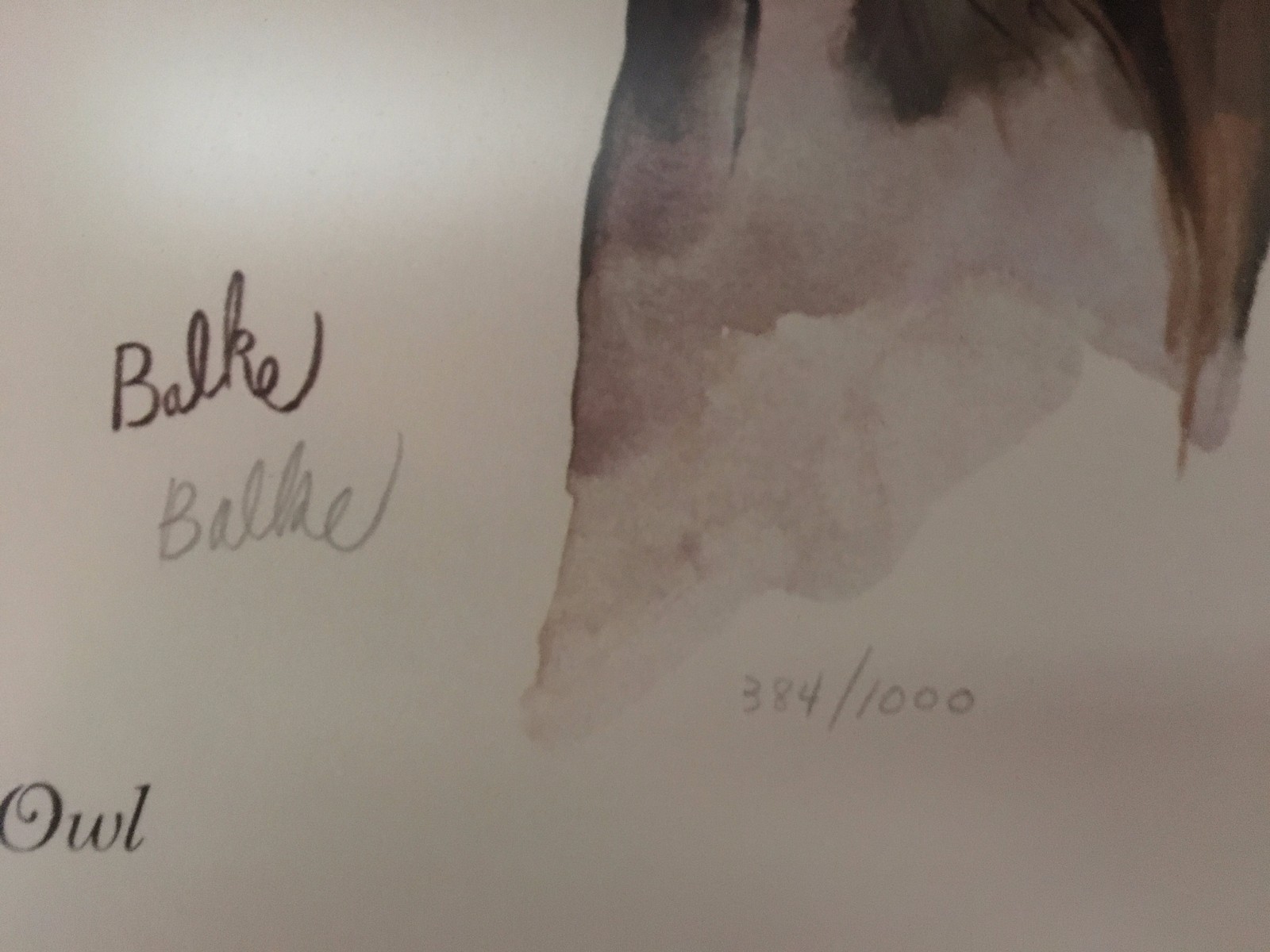 Barn Owl by Don Balke; Signed & Numbered Print | eBay